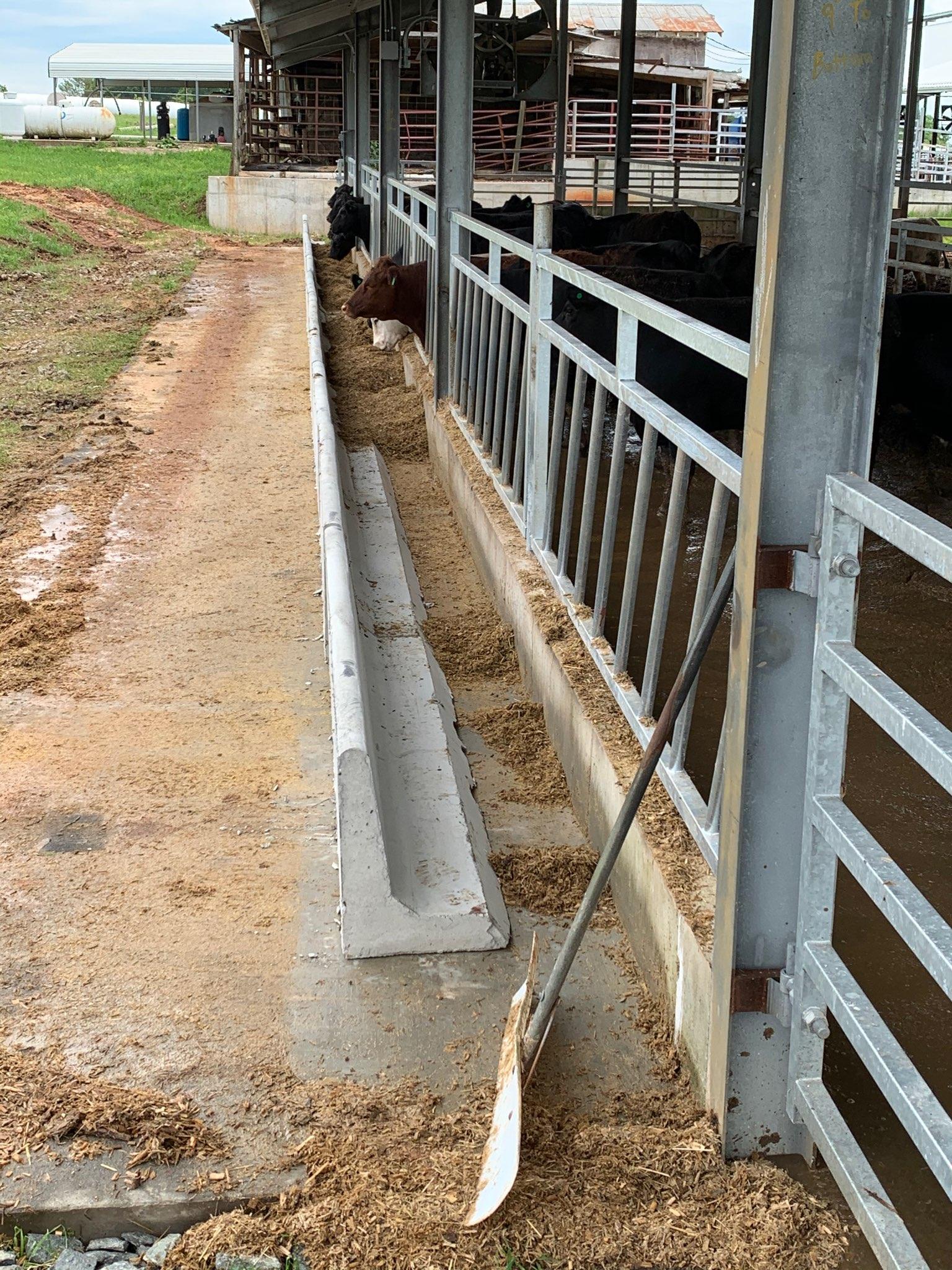Feed Bunks - West End Precast Concrete